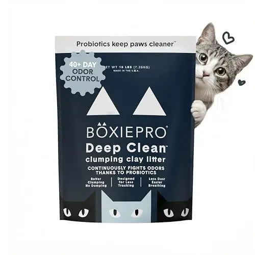 Best Natural Cat Litter For Odor Control - 2026 Reviews - Veggie Pet Food