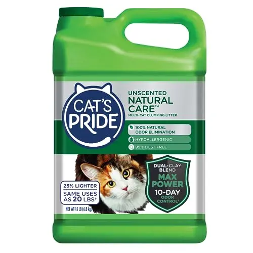 Best Natural Cat Litter For Odor Control - 2026 Reviews - Veggie Pet Food