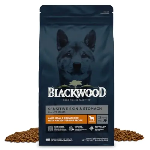 Best Lamb Dog Food For Sensitive Stomach - 2026 Reviews - Veggie Pet Food